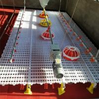China Duck Broiler 100% PP UV Poultry Slat Flooring for sale