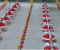China 100mm Chicken Nipple Drinker System for sale