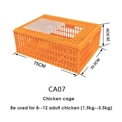 Cina Gabbia di trasporto del pollo del piccione della gabbia del pollame di 75*55*27CM in vendita