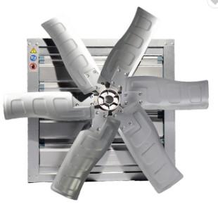 Cina Aspiratore protetto contro le esplosioni di ventilazione 50Inch del pollame in vendita