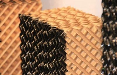 Cina Cuscinetti di raffreddamento della sostituzione di Honeywell per il dispositivo di raffreddamento evaporativo di Co60pm in vendita