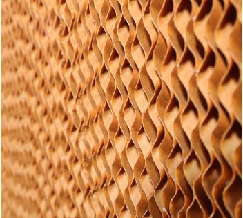 Cina Cuscinetti più freschi di media rigidi evaporativi del favo della cellulosa in vendita