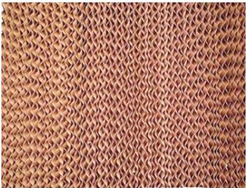 Cina Il dispositivo di raffreddamento evaporativo riveste il sistema di pannelli di raffreddamento del cuscinetto del pollame 5090 in vendita