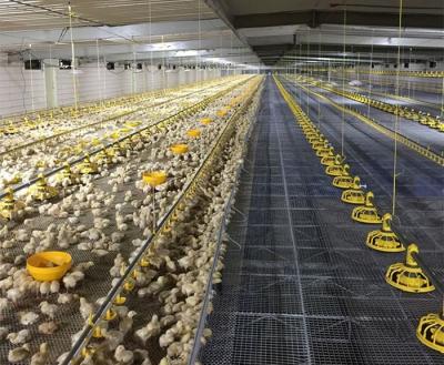 Cina 150m coltivano il regolatore dell'ambiente della stanza in vendita