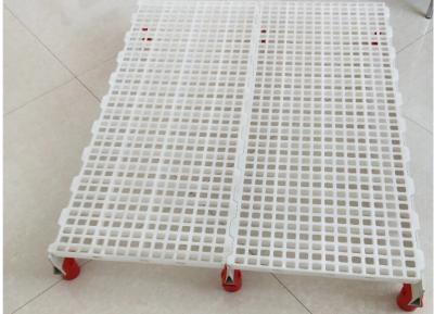 Cina Pollo Dung Board Poultry Slat Flooring di plastica in vendita