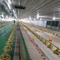 China Automatic Chicken Feeder System Broiler Poultry Equipment for sale