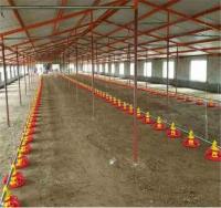 China Automatic Chicken Feeder System Broiler Poultry Equipment for sale