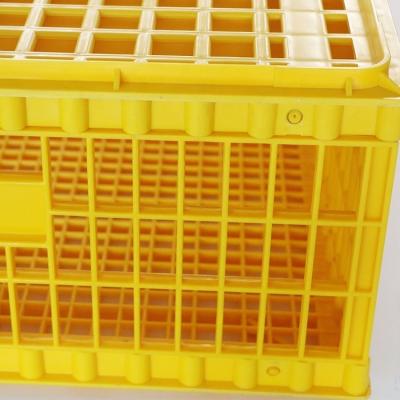 Cina Una plastica di 10 polli 12,25 pollici del pollame di gabbia staccabile di trasporto in vendita