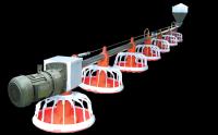 China Hens Poultry Pipe Automatic Pan Feeding System for sale