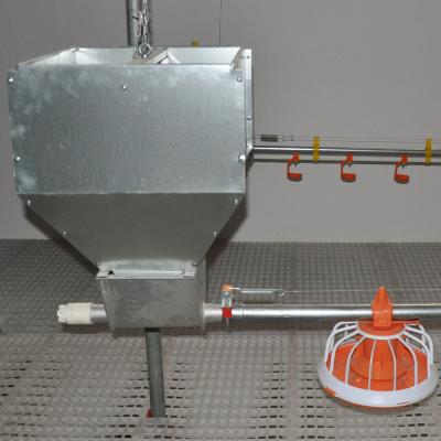 Cina Grande dosatore del pollame di capacità per l'agricoltura dell'alimentazione del trasportatore della coclea della Camera in vendita