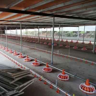 Cina La linea di galleggiamento dell'attrezzatura dell'azienda avicola del diametro 26.7mm ha galvanizzato il tubo d'acciaio di sostegno di 25mm in vendita
