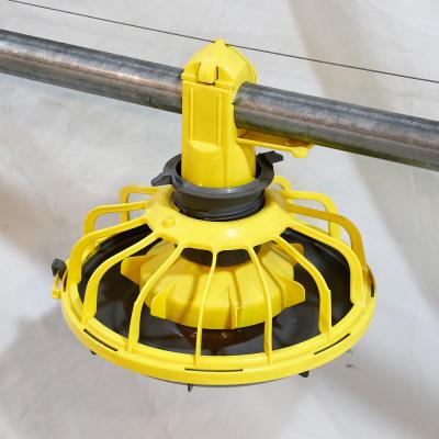 Cina La linea di galleggiamento dell'attrezzatura dell'azienda avicola del diametro 26.7mm ha galvanizzato il tubo d'acciaio di sostegno di 25mm in vendita
