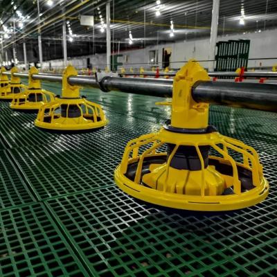 Cina Pentole dell'alimentatore degli abbeveratoi automatici dell'attrezzatura dell'azienda avicola della griglia pp in vendita