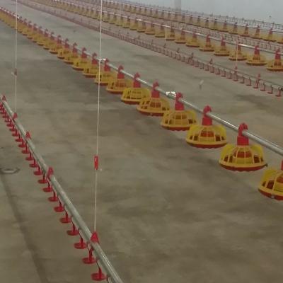 Cina Pollame automatico della griglia di Pan Feeding System For Chicken del motore del motore in vendita