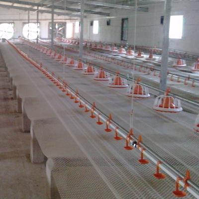 Cina Pollame automatico della griglia di Pan Feeding System For Chicken del motore del motore in vendita