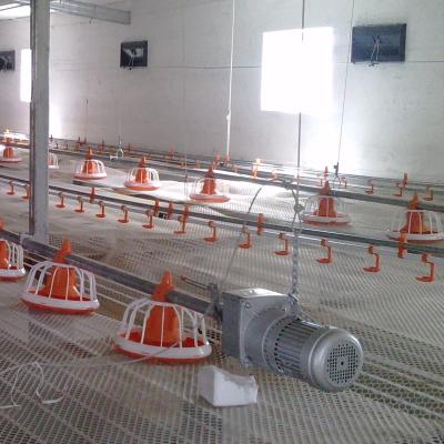 Cina Pollame automatico della griglia di Pan Feeding System For Chicken del motore del motore in vendita
