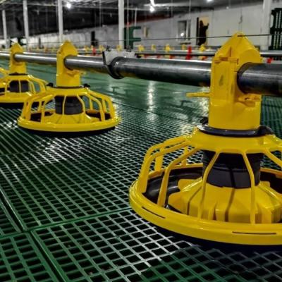 Cina Pollo che beve la macchina automatica dell'attrezzatura di azienda agricola di Pan Feeding System For Poultry in vendita