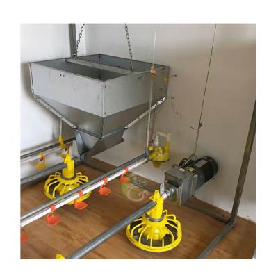 Cina Linea di estremità supplemento dell'attrezzatura del pollame di Pan Sensor For Broiler Chicken dell'alimentatore del commutatore in vendita