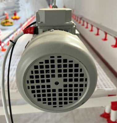 Cina Motore dell'ingranaggio di 0,75 chilowatt Italia per la linea d'alimentazione sistema dell'azienda avicola in vendita