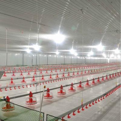 China Poultry Farming Chicken Feeder Equipment Long Life for sale