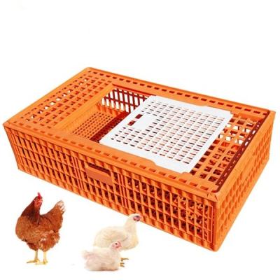 Cina Agricoltura del trasporto del pollo della cassa del trasportatore del pollame dei pp in vendita