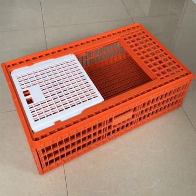 Cina la plastica della gabbia del pollo del trasporto 400kg ha ispessito pieghevole in vendita