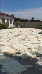 China Factory - Nangong Bingtai Fur Co., Ltd.