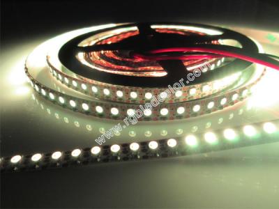 China tira digital 144led de ws2812b sk6812 mini 3535 mini rgb en venta