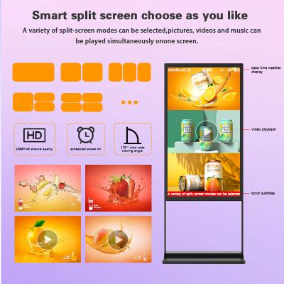 China Operación fácil Plug and Play para quiosco de pantalla táctil de pie de 43 pulgadas con múltiples funciones en venta