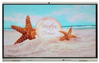 China 65 inch Interactive Flat Panel Display Smart Touchscreen for sale