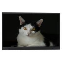 China 98inch 4K Interactive Flat Panel Android 14 8+128gb Digital Smart Touch Screen Android OPS Mobile Stand Optional For Classroom Meeting for sale
