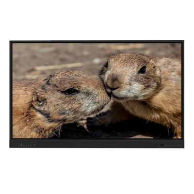 Κίνα 65 75 86 92 98 inch LCD Display Touch Screen Flat Panel Interactive 4K Resolution Digital Interact Smart TV With Wifi Web Media Player προς πώληση