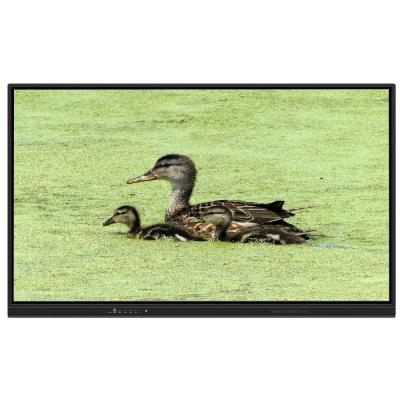 China All In One Interactive Whiteboard 65 Inch Android 14 15 8+128G Teaching Meeting Software 50 Touch Points Light Sensor Speakers App Store Built-in For Education Teaching Online Meetings for sale