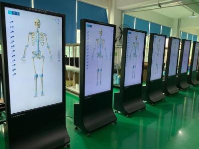 중국 고품질 실시간 모니터링 디지털 광고 실시간 콘텐츠 업데이트 및 시청자 타겟팅을 위해 소셜 미디어 데이터 소스를 활용하는 디스플레이 판매용