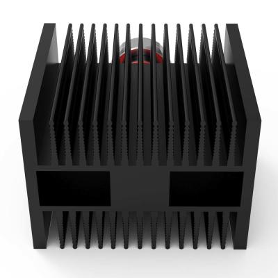 Cina RoHS DIN maschio 60w~80w carico fittizio in vendita
