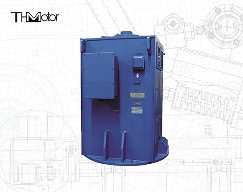 2800kw Vertical Mounted 3 Phase Asynchronous Induction Motors IP55 IP54