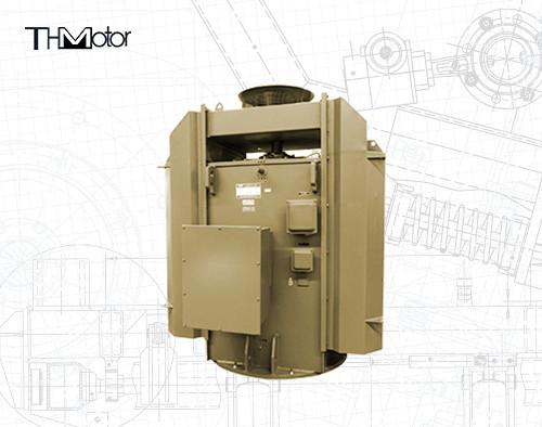 2240kw Electric Three Phase Asynchronous Motor For Circulating Water Pump