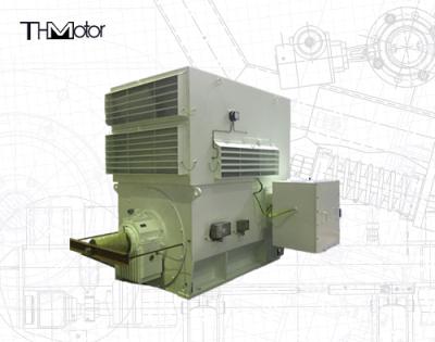 중국 산업용 WPI WPII 시리즈 3단계 인덕션 모터 판매용