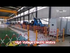 Motores industriais de alta tensão 6000v-11000v 2 pólos para otimizar o desempenho
