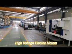 6000v-11000v Voltage High Voltage Electric Motors with Power Range of 400-6000kw and 50hz Frequency