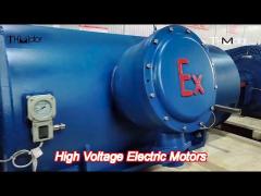 Hot Rolling鋼鉄高圧電動機2500kw YKS 900 YKK 900