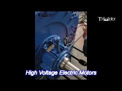 2500kW 高電圧非同期電動機