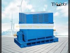 YK5000-2 高電圧モーター 5000kW 10kV 50Hz