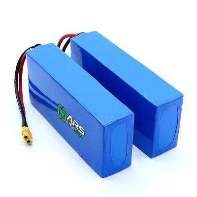 China Custom OEM LiFePO4 Lawn Mower Battery Pack 60V 50Ah 100ah Lithium Battery Packs High Capacity with BMS for Cordless Push Mower for sale