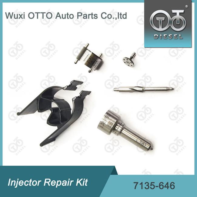 Nozzle-Valve Kit 7135-646 Injector Repair Kit