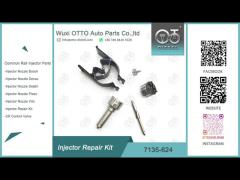 7135-624 Delphi Injector Repair Kit For Injector DAIMLER R04201D