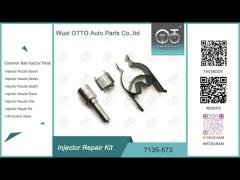 Набор для ремонта впрысков Delphi Nozzle-Valve Kit 7135-580 для инжекторов 28342997/R00001D/28307309