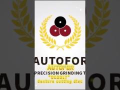 Cutting disc