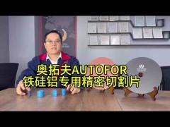 AUTOFOR, “IJzer silicium aluminium speciaal snijwiel“