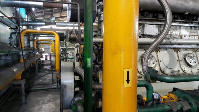 Cina Gas in torcia della raffineria di petrolio/centrale elettrica 650rpm 1000rpm di elettricità gas naturale in vendita